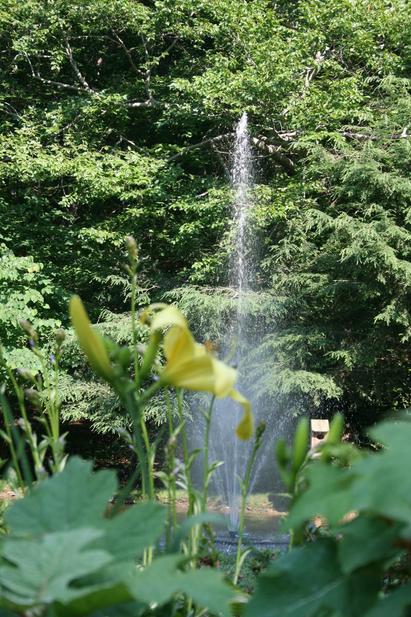 Dawn Marie George | RT Foard